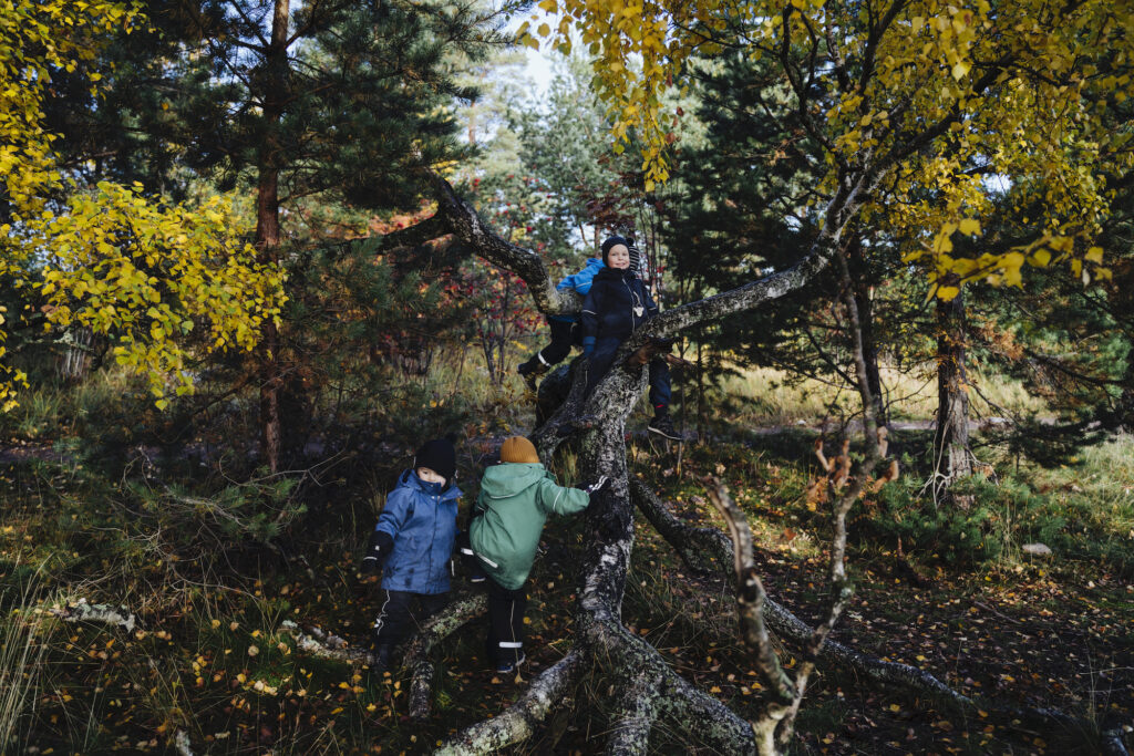 Brita Maria Renlundin muistisäätiö myöntää 12 miljoonaa euroa ...